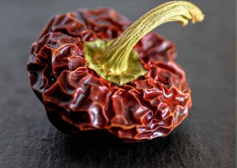 Nora Peppers Cultivation and Culinary Uses